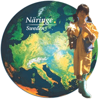 Näringe Säteri & Kursgård - Vägbeskrivning